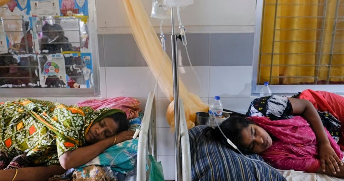 Bangladesh hit by worst dengue outbreak on record: WHO