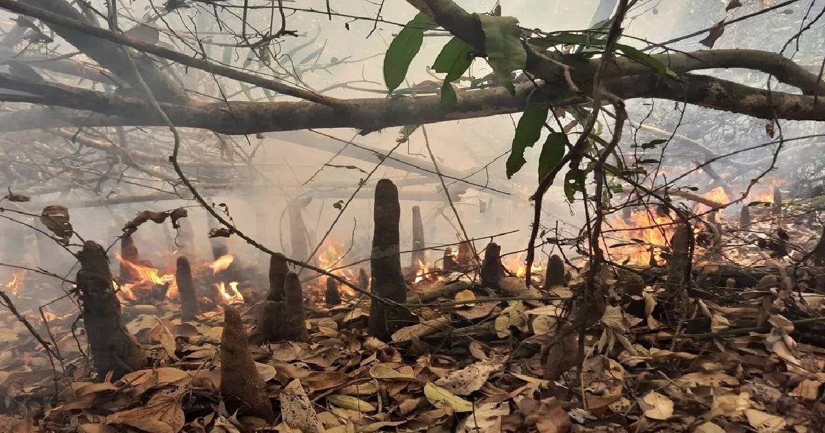 No water sprayed even 12hrs after detection due to lack of nearby source