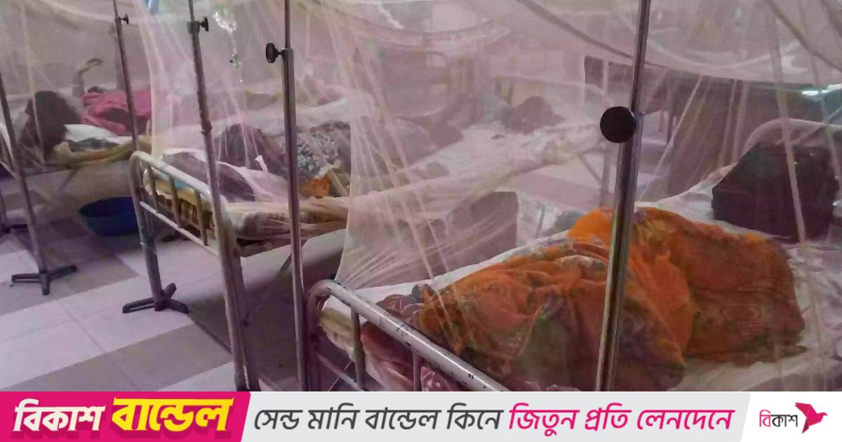 Dengue: 1 dead, 715 hospitalised